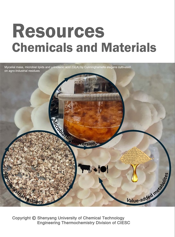 Covers in 2025 | KeAi Publishing